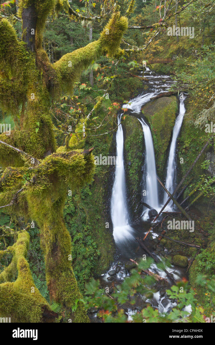 Triple Falls on Oneonta Creek, Columbia River Gorge, Oregon Stock Photo ...