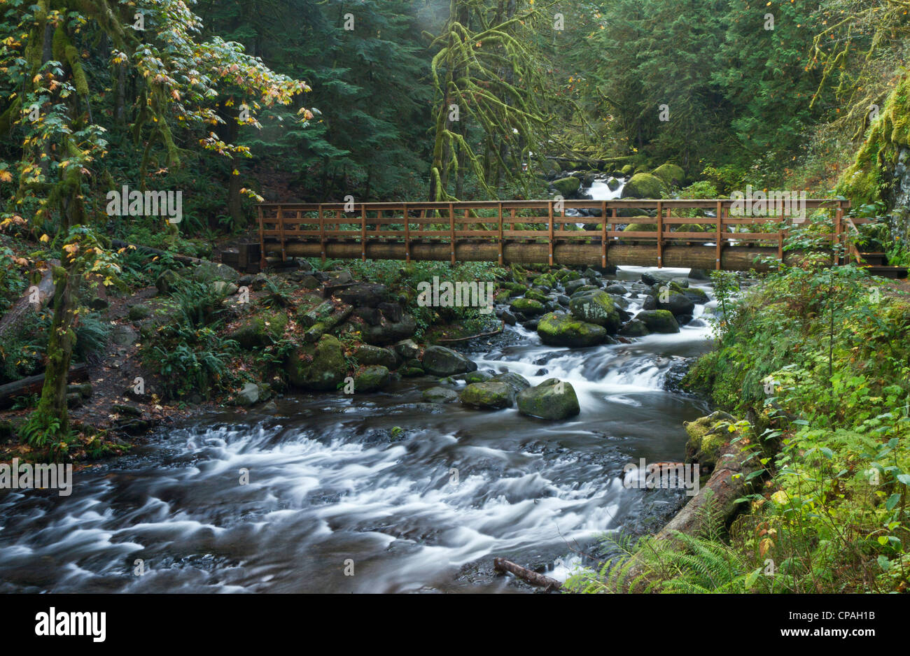 Footbridge across Oneonta creek, Columbia River Gorge, Oregon Stock ...
