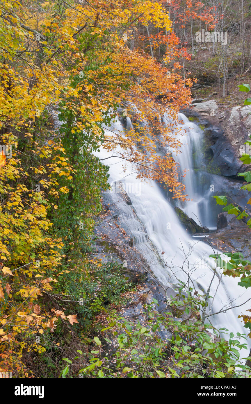 Cherokee national forest hi-res stock photography and images - Alamy