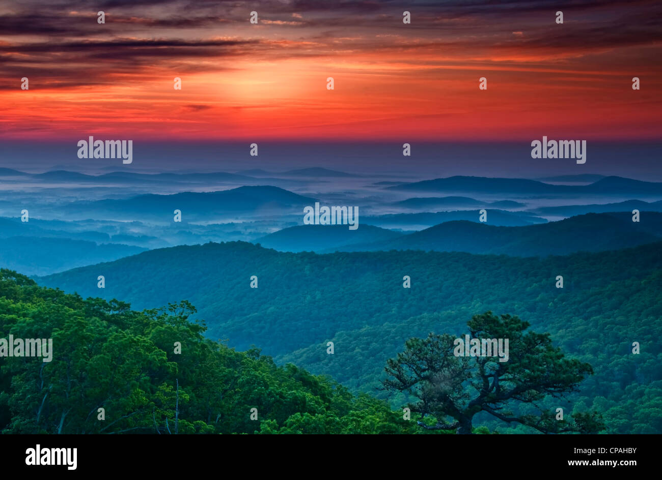 USA, Virginia, Franklin Cliff Overlook. Sunset on forested mountains ...