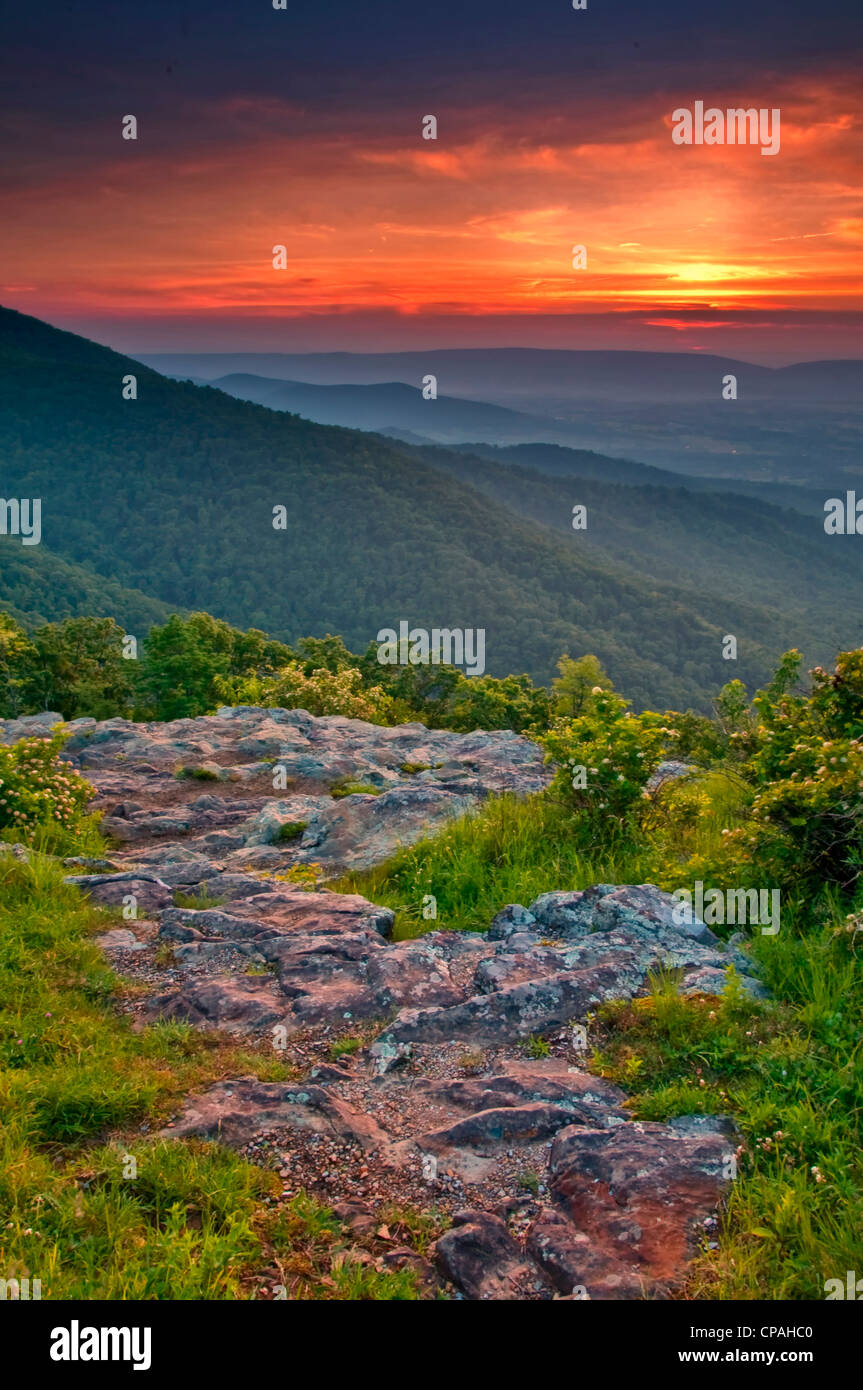 USA, Virginia, Franklin Cliff Overlook. Sunset on forested mountains ...
