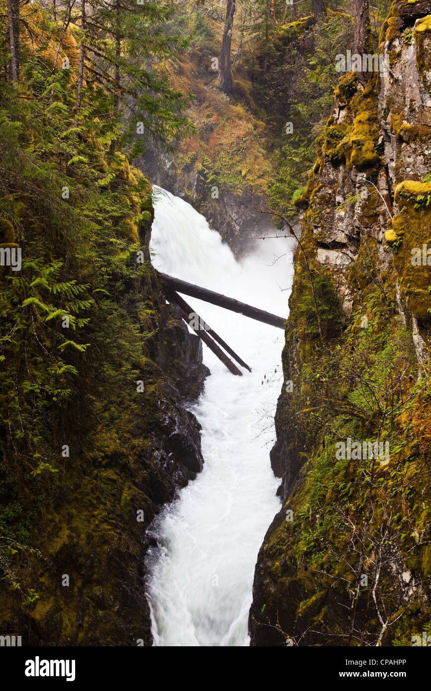 Little qualicum river falls provincial park hi-res stock photography ...