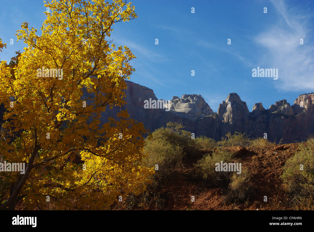 Zion national park autumn foliage in hi-res stock photography and ...