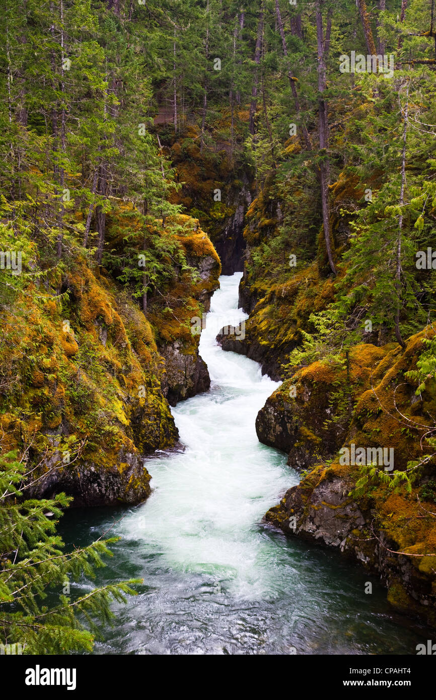 A narrow gorge below the upper falls of the Little Qualicum River on ...