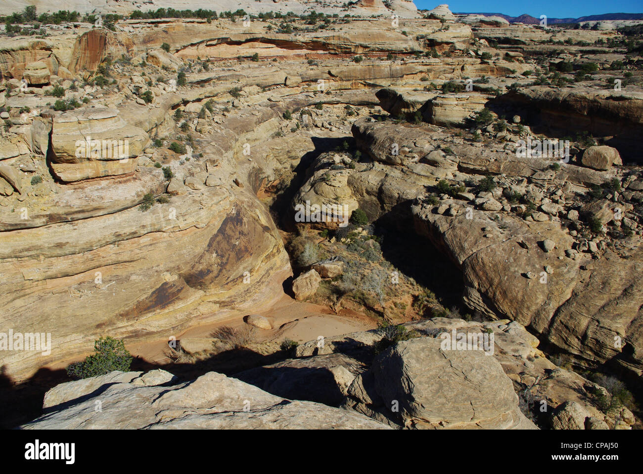 Look down into White Canyon, Utah Stock Photo - Alamy