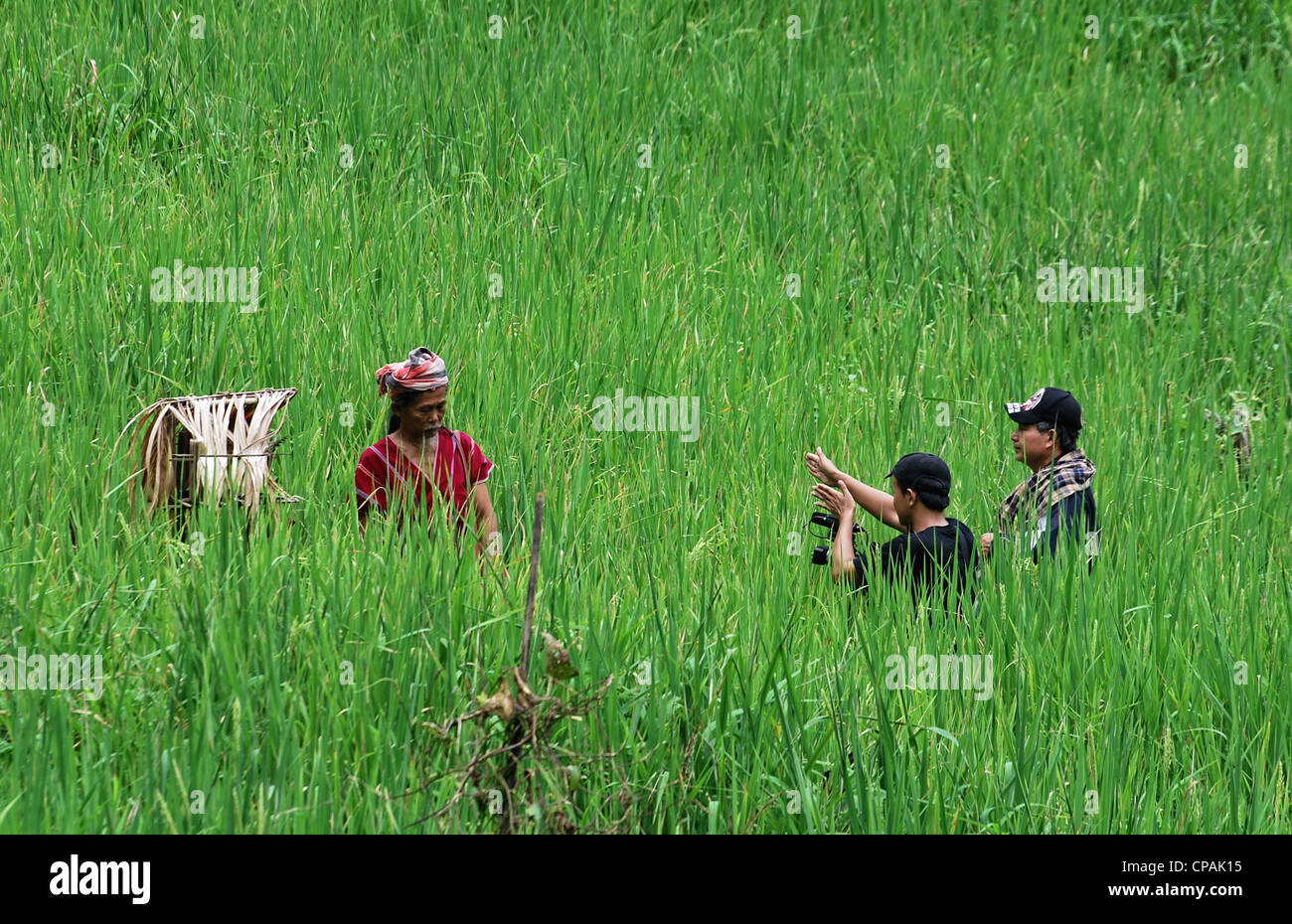 Life in nature Stock Photo - Alamy