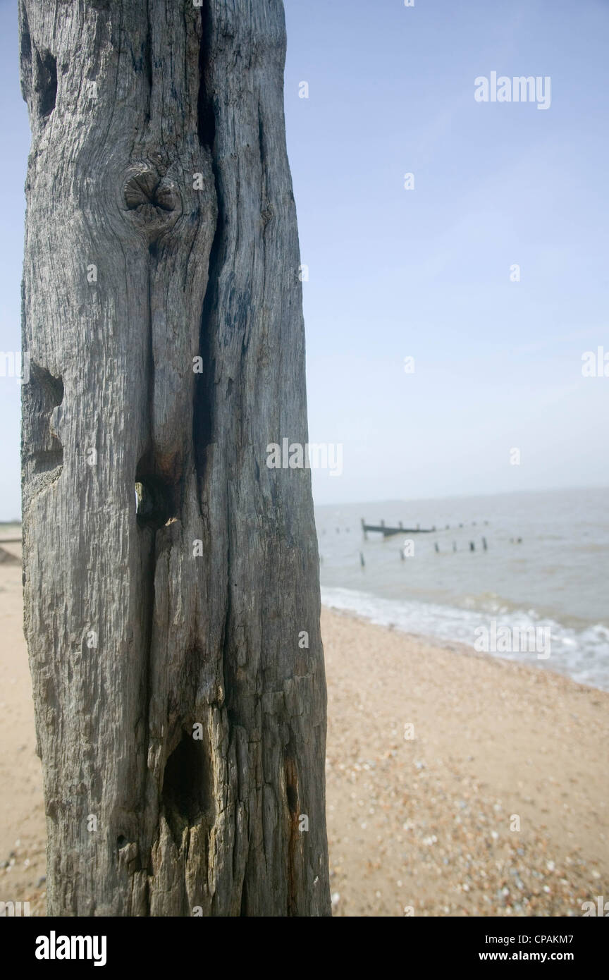 Seasalter Beach, Kent, England, UK Stock Photo - Alamy
