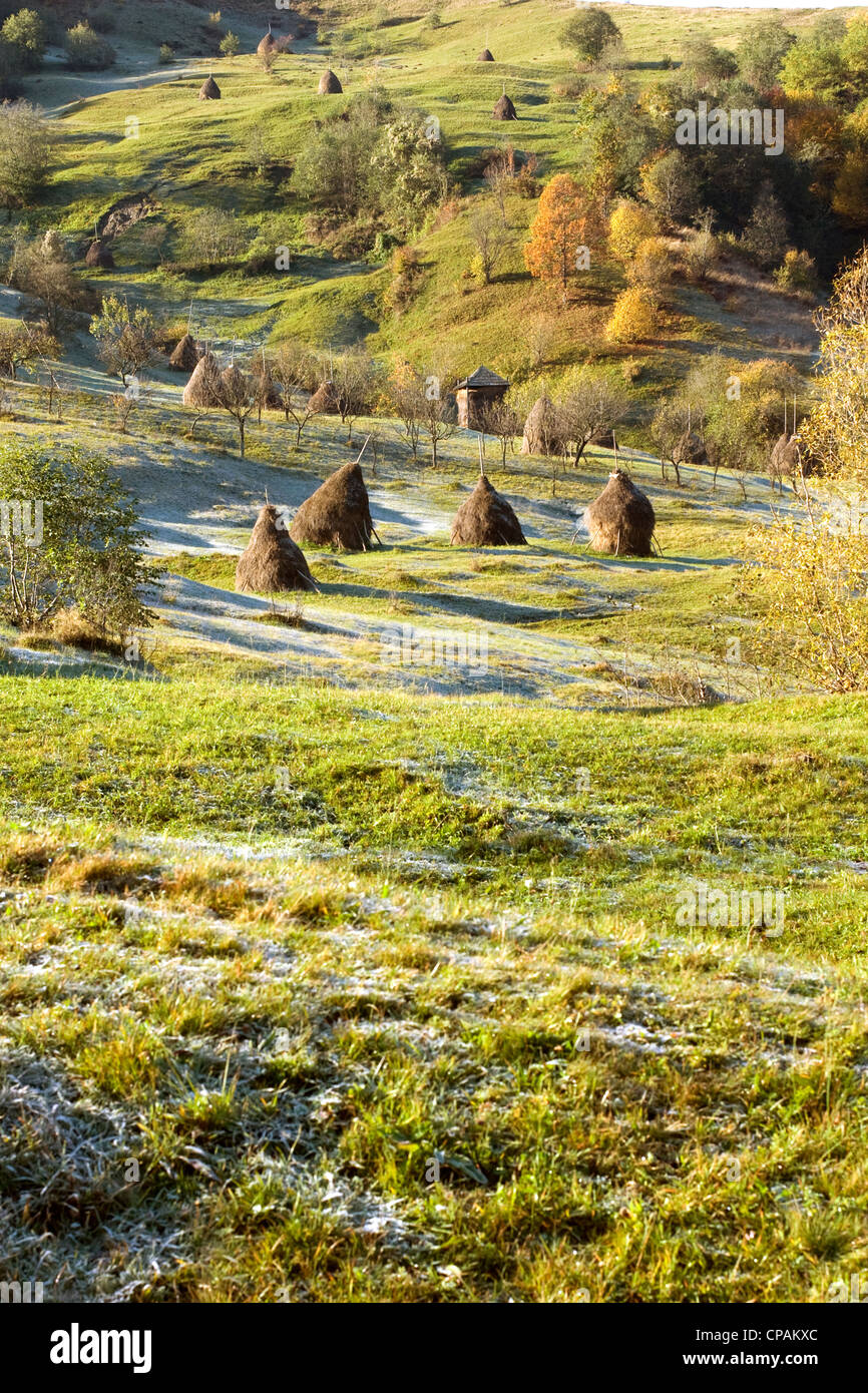 Old fashioned haystacks in romania hi-res stock photography and images ...