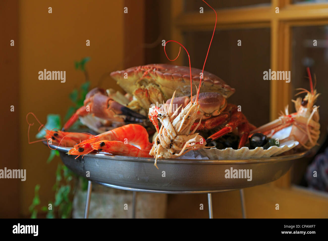 Cooked Crabs And Shrimps