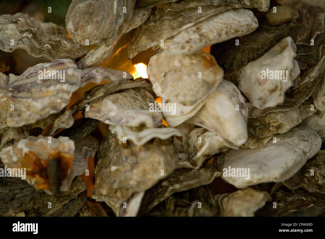 Candle-lit Grotta made from Oyster Shells, Whitstable Beach, Kent, UK ...