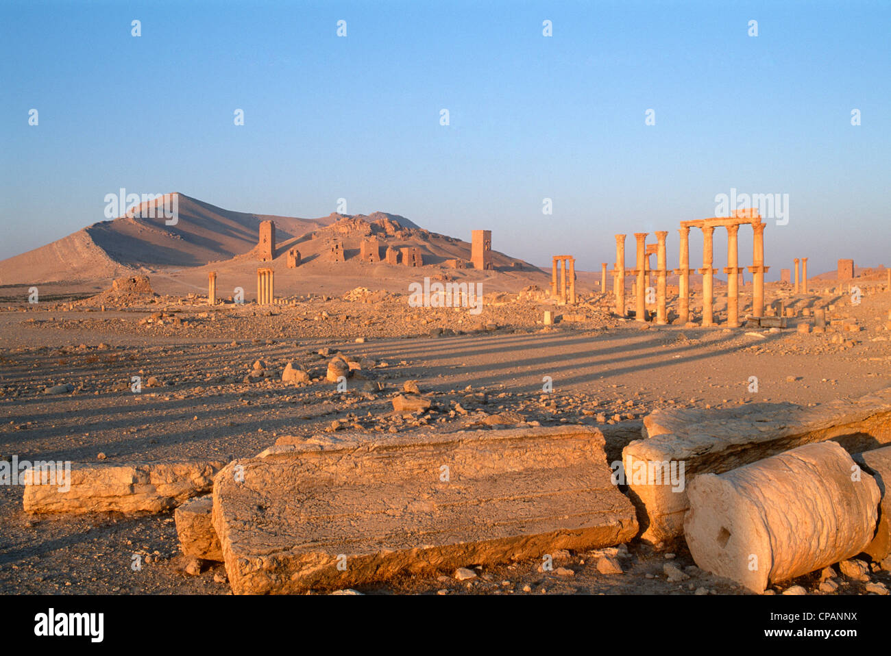 Syria, Palmyra, Funerary Towers, desert landscape Stock Photo - Alamy