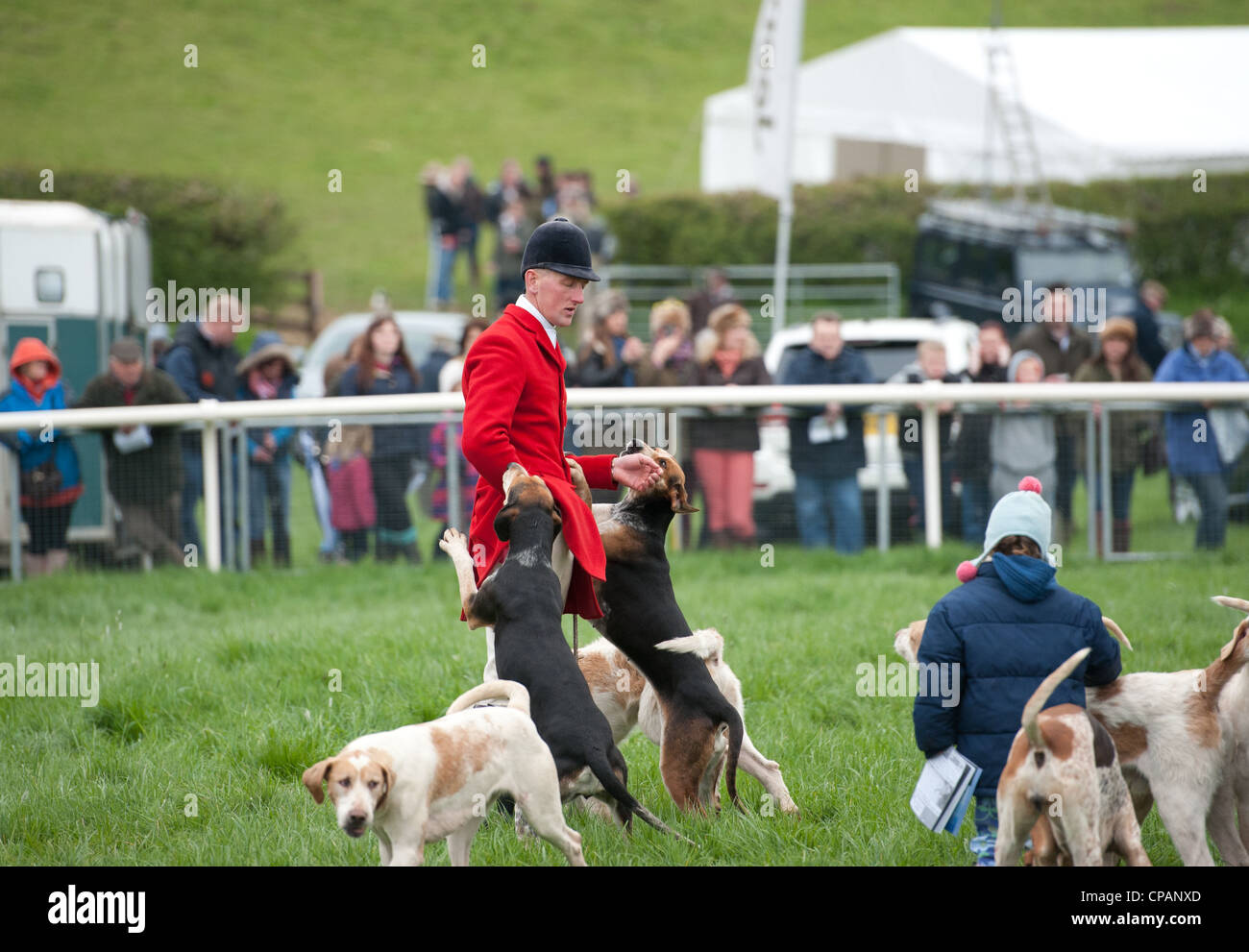 Hunts master hounds hi-res stock photography and images - Alamy
