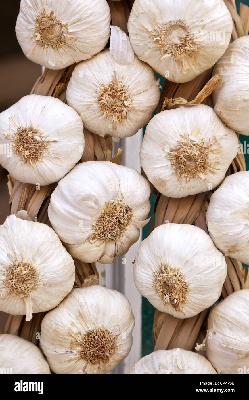 An Spanish garlics at street market Stock Photo - Alamy