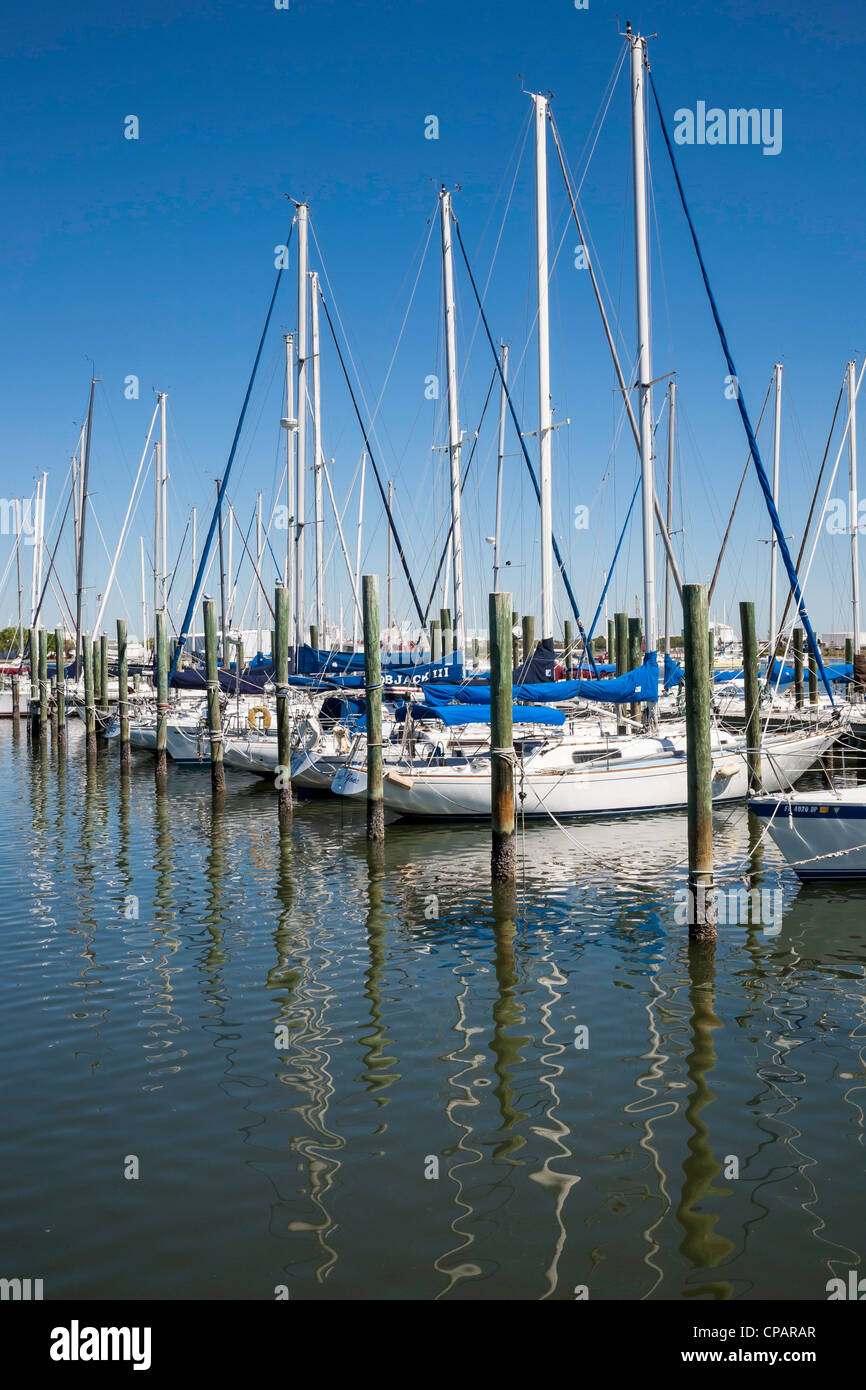 Davis island Yacht Club, Tampa Florida Stock Photo - Alamy