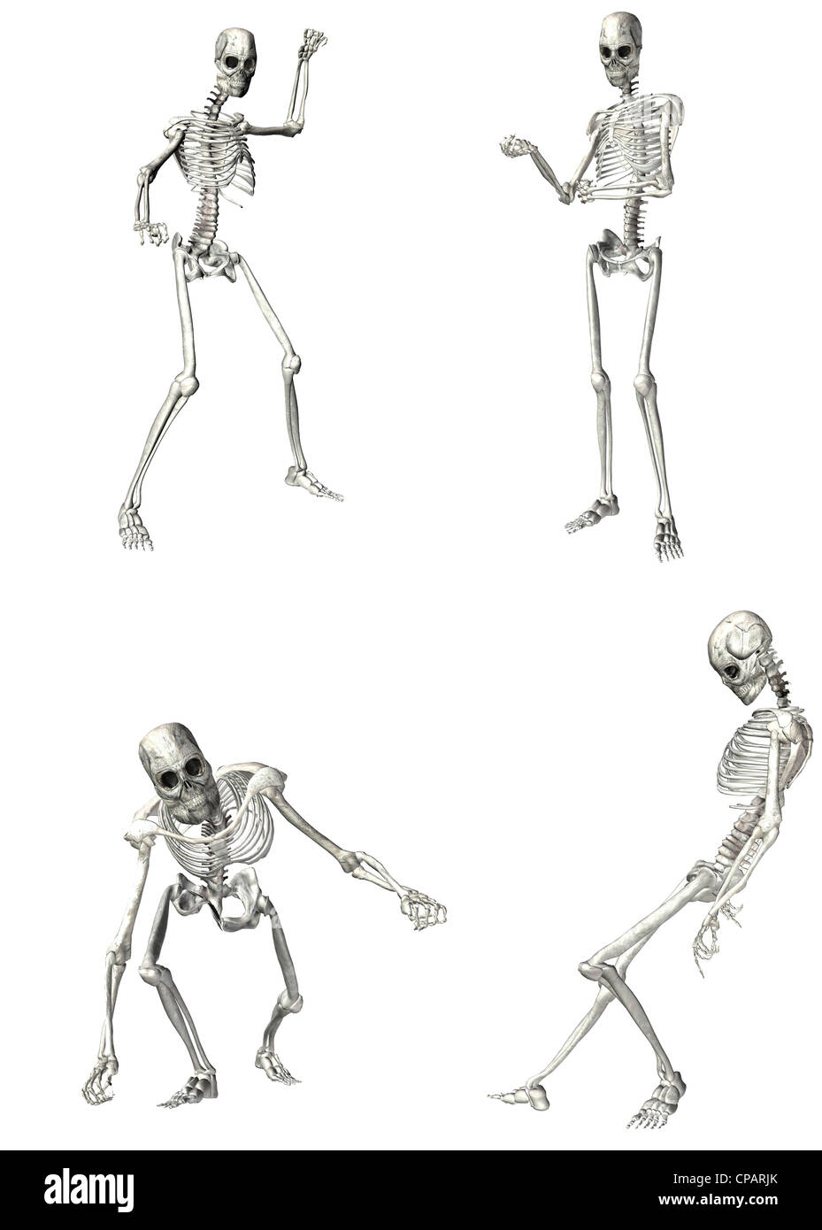Illustration of a pack of four (4) skeletons with different poses ...