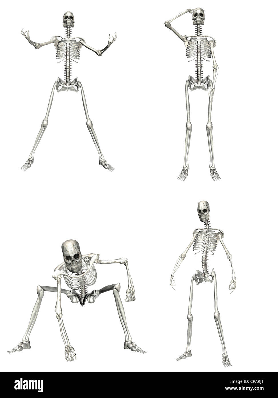 Illustration of a pack of four (4) skeletons with different poses ...