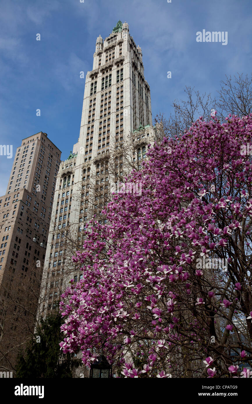 Woolworth Building, designed by Cass Gilbert, at 233 Broadway in Lower ...
