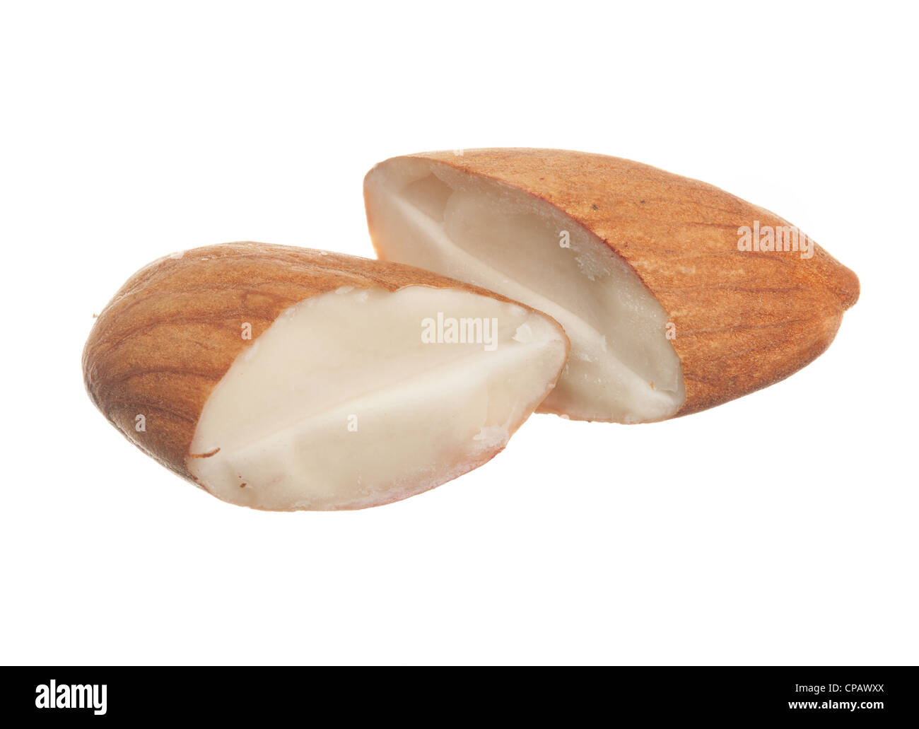 Close shot of half an almond isolated against white background Stock ...