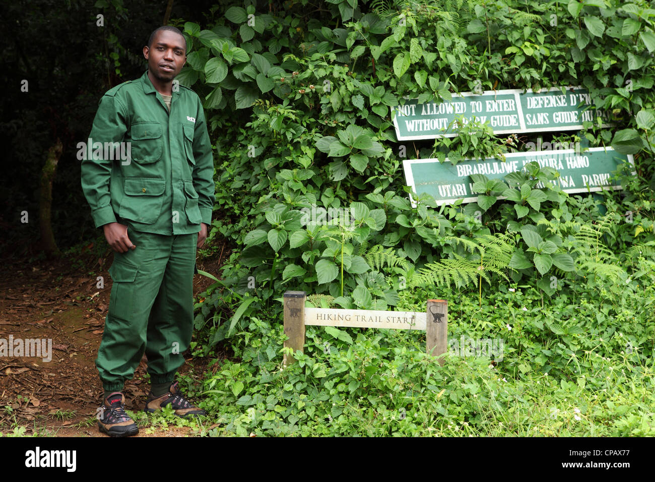 A naturalist and guide by the start of the Isumo Trail in Nyungwe ...