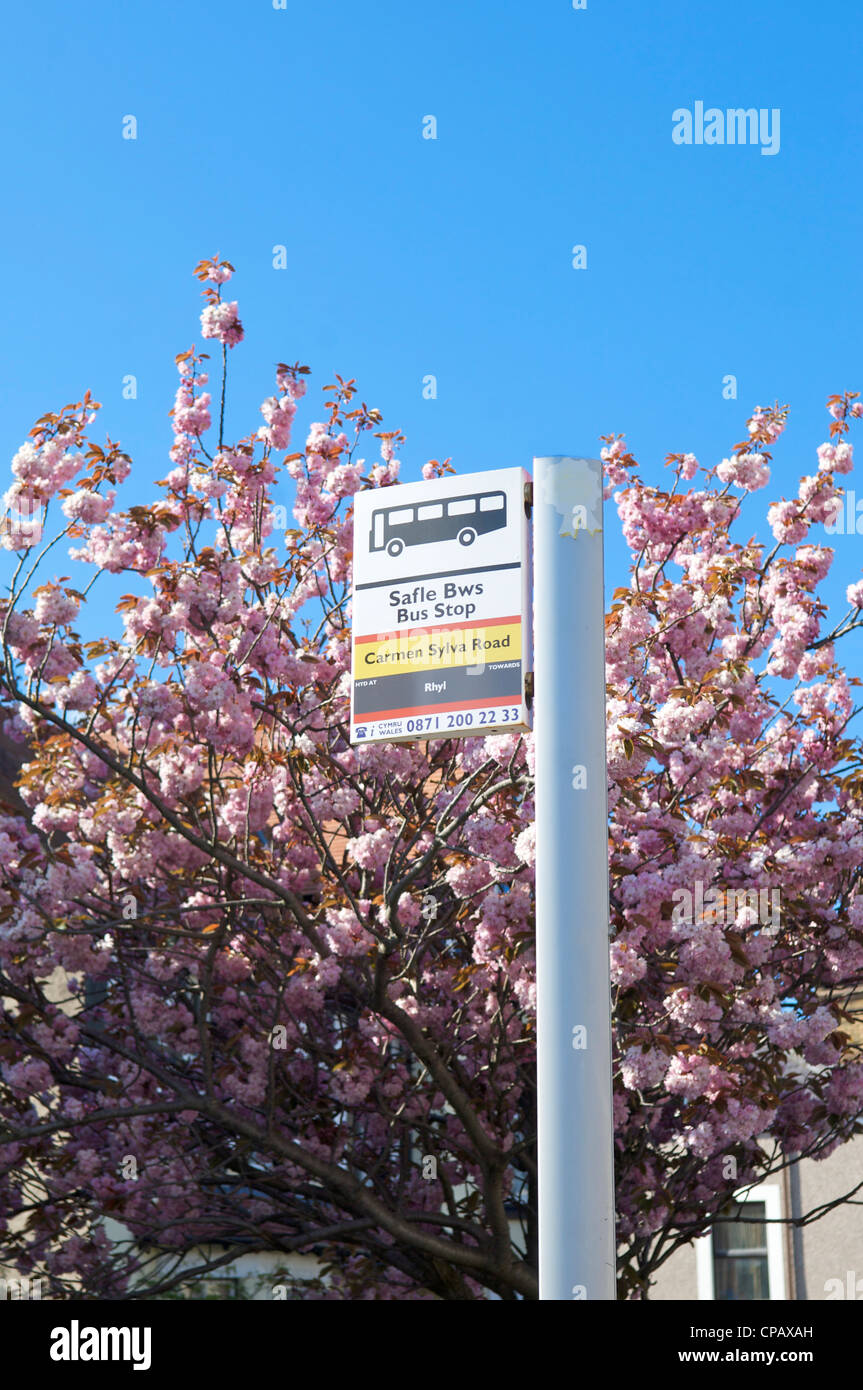 Welsh bus stop sign wales hi-res stock photography and images - Alamy