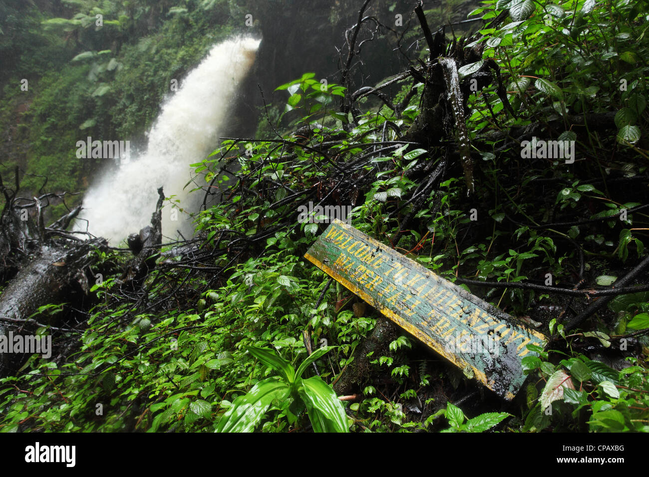 Kamarinzovu Waterfall in Nyungwe National Park, Rwanda Stock Photo - Alamy