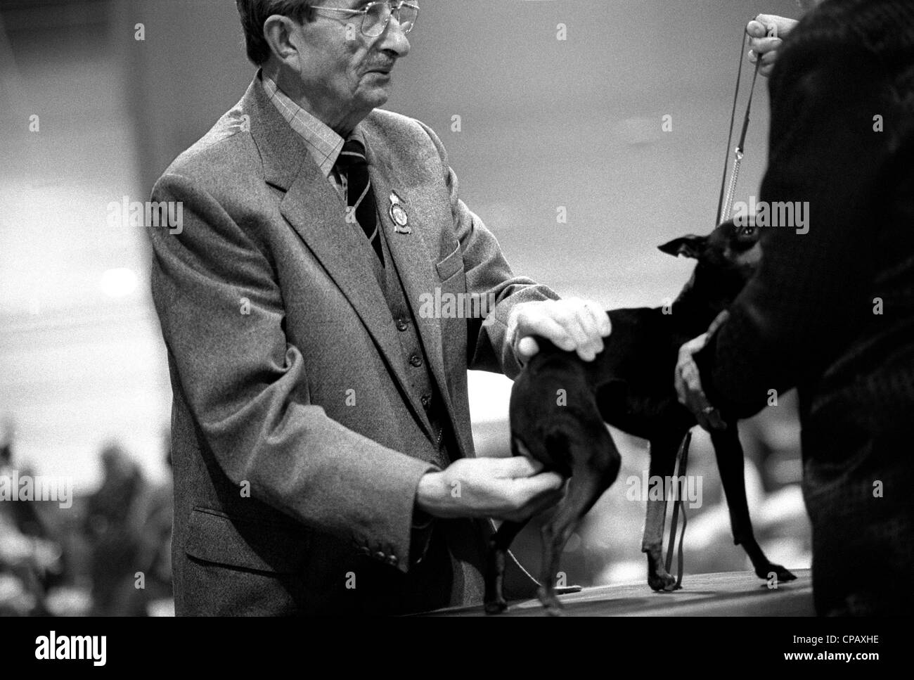 Competition dog show Black and White Stock Photos & Images - Alamy