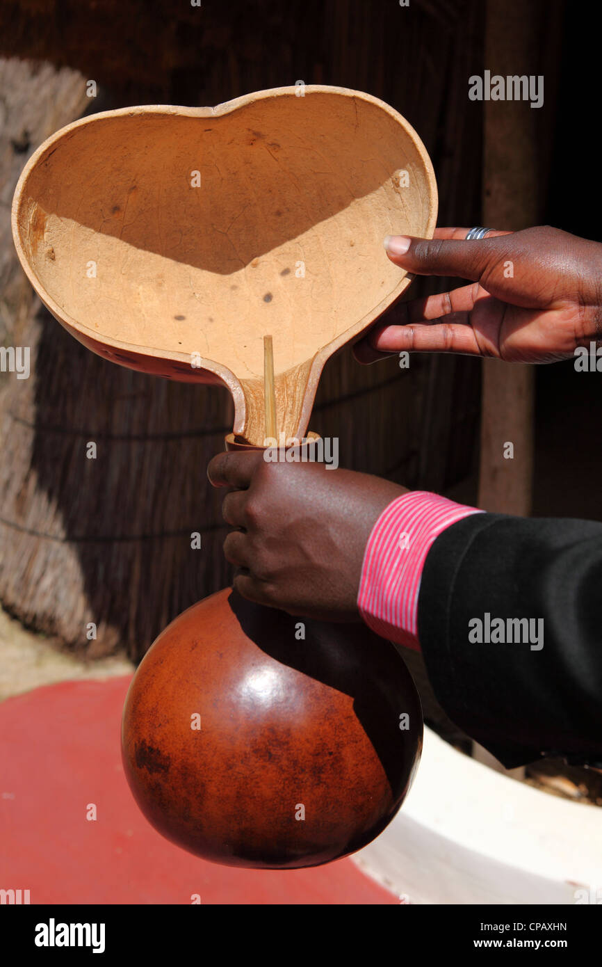 African gourds hi-res stock photography and images - Alamy