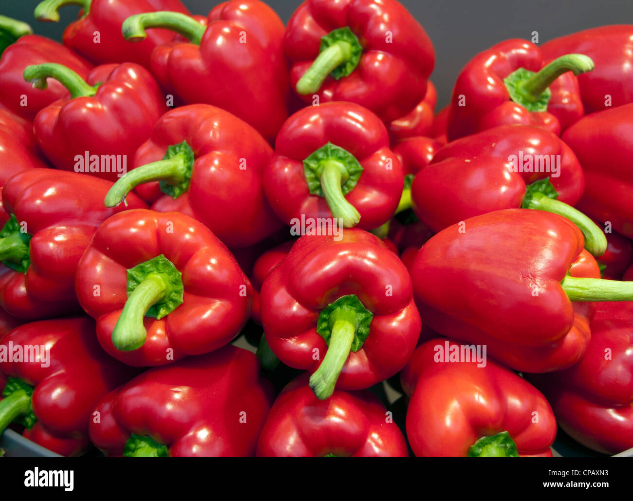 Floriade show hi-res stock photography and images - Alamy