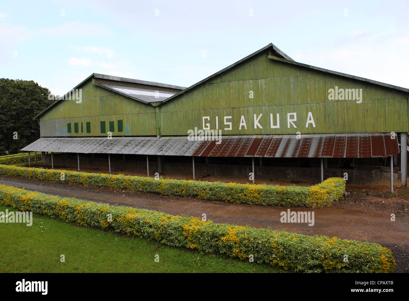 The Gisakura Tea Factory in Rwanda. Rwanda produces a number of high ...