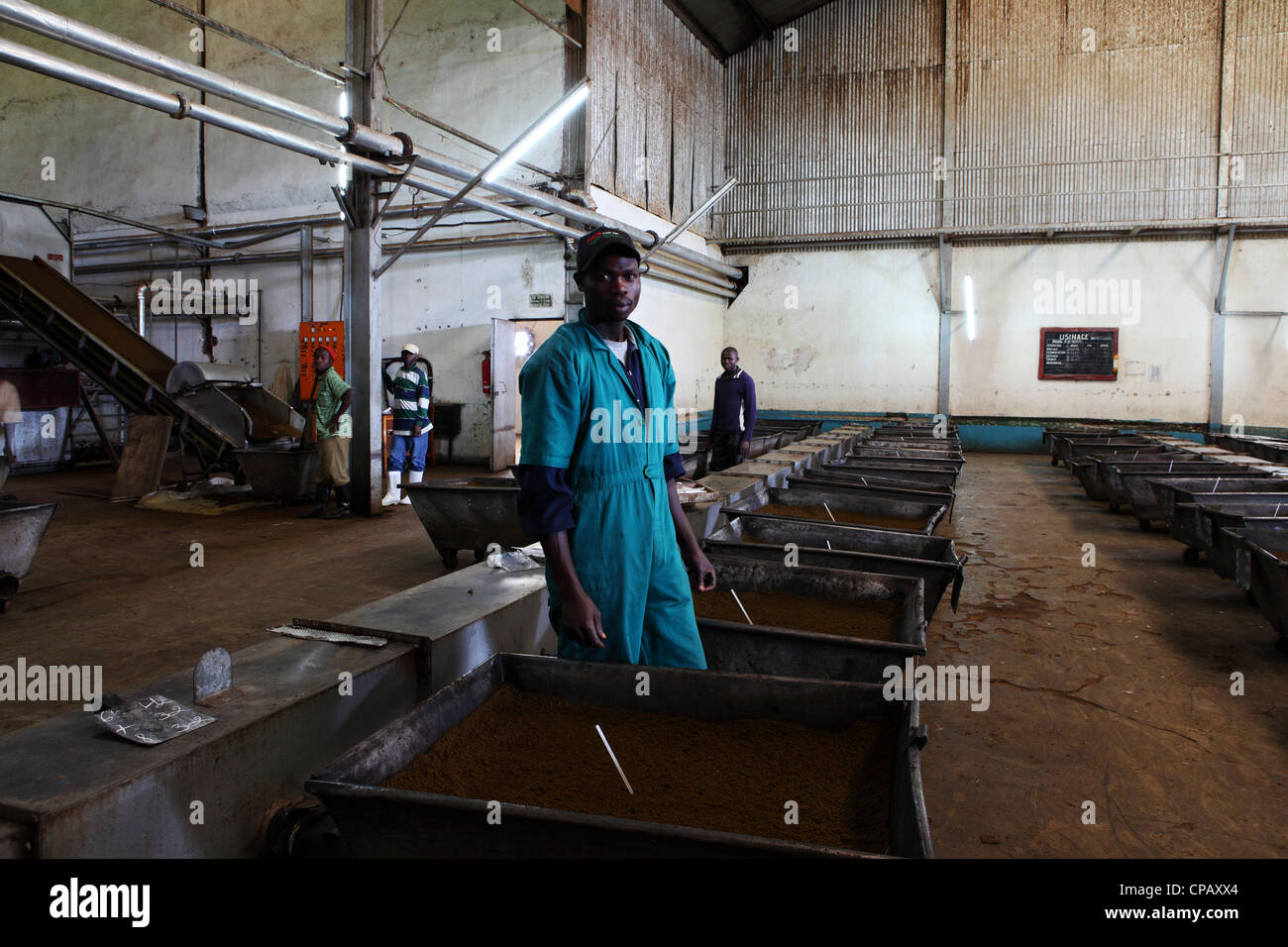 Industrial tea factory hi-res stock photography and images - Alamy