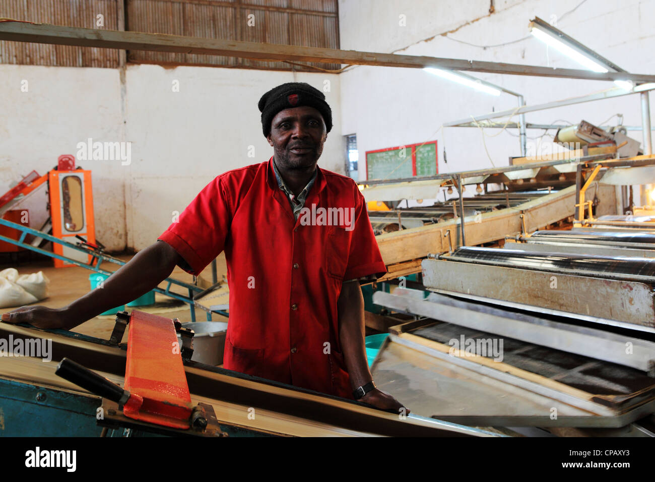 A worker oversees one of the final processes during tea production at ...