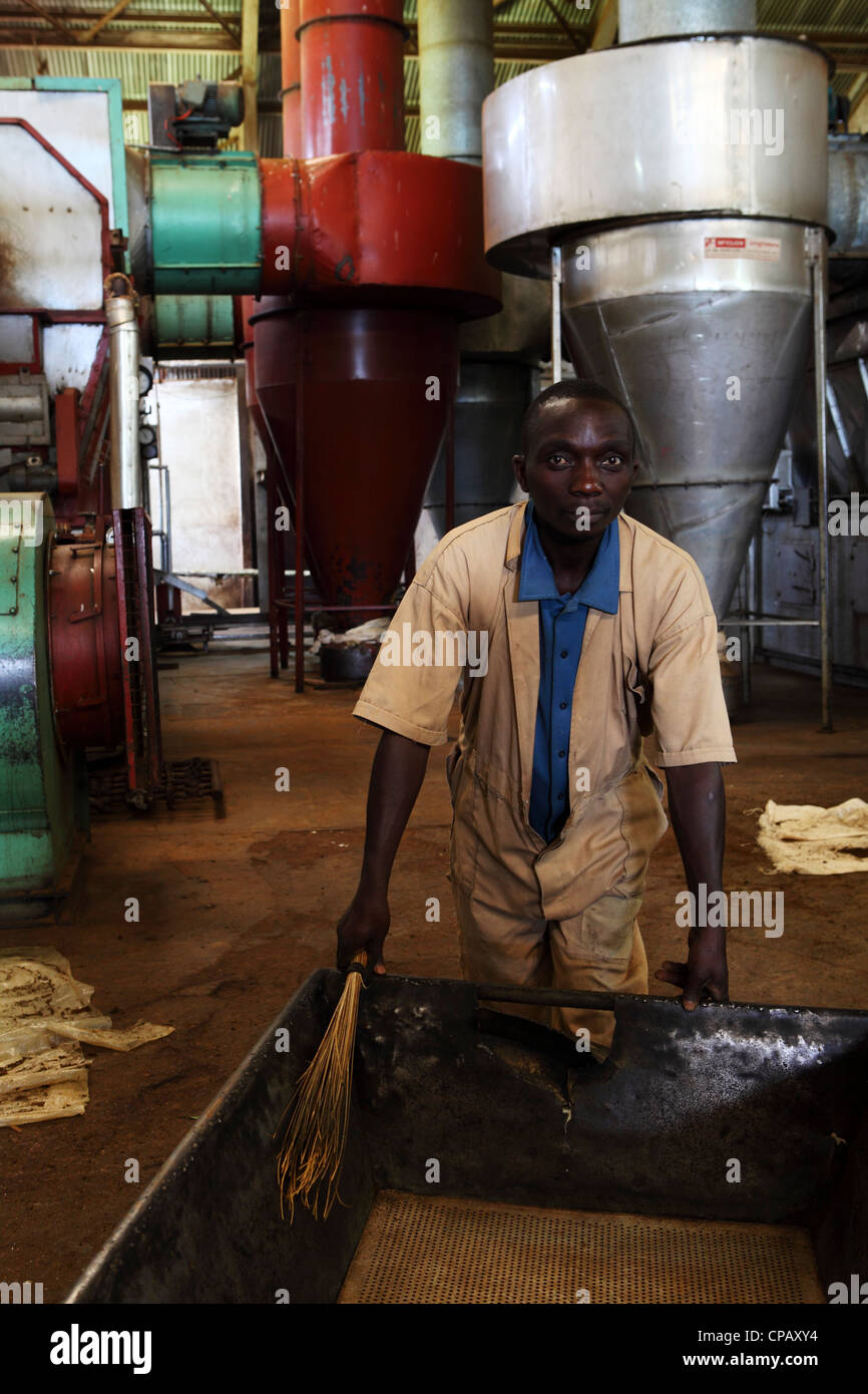 A worker cleans a barrow in which tea is transported during tea ...