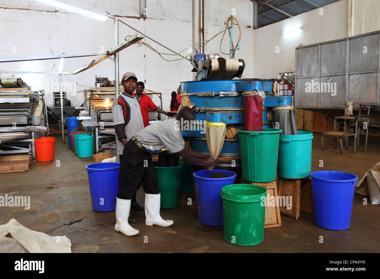 Tea production at the Gisakura Tea Factory in Rwanda Stock Photo - Alamy