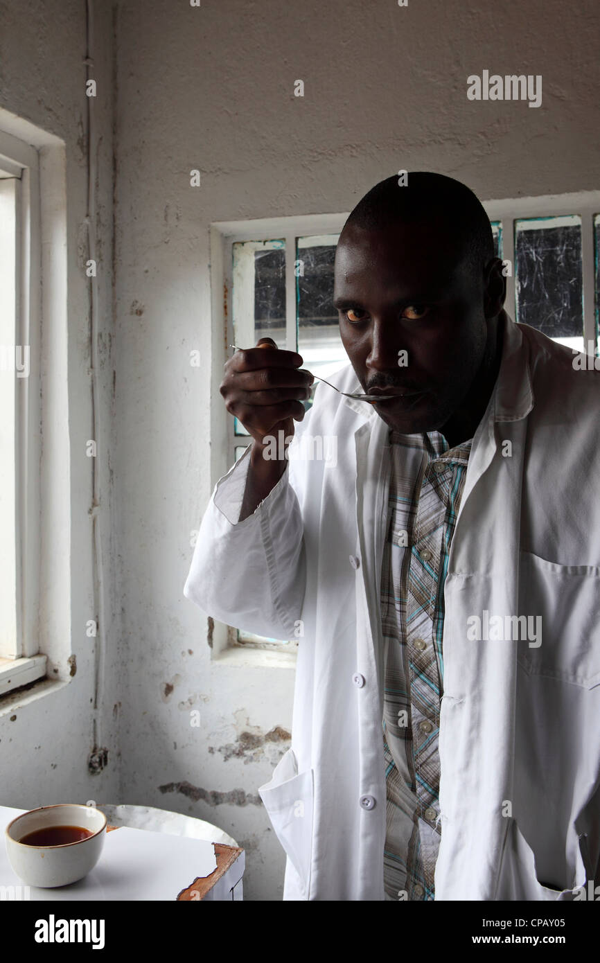 Tea tasting hi-res stock photography and images - Alamy