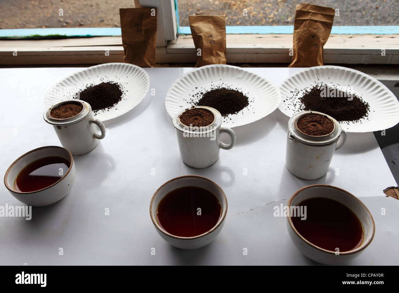 Teas ready for quality control tasting at the Gisakura Tea Factory in ...