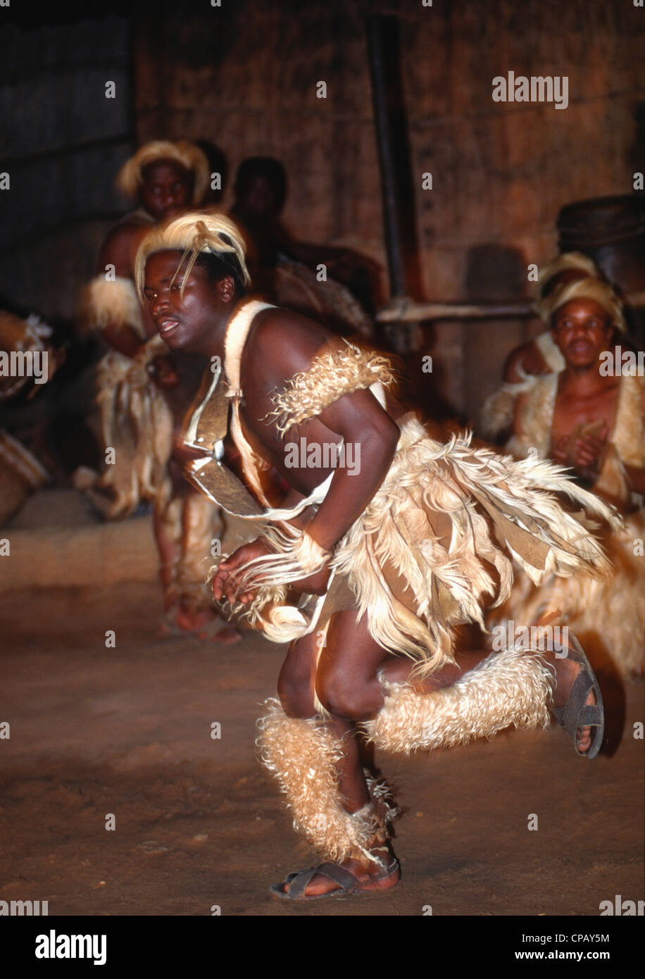 Traditional dancer zimbabwe hi-res stock photography and images - Alamy