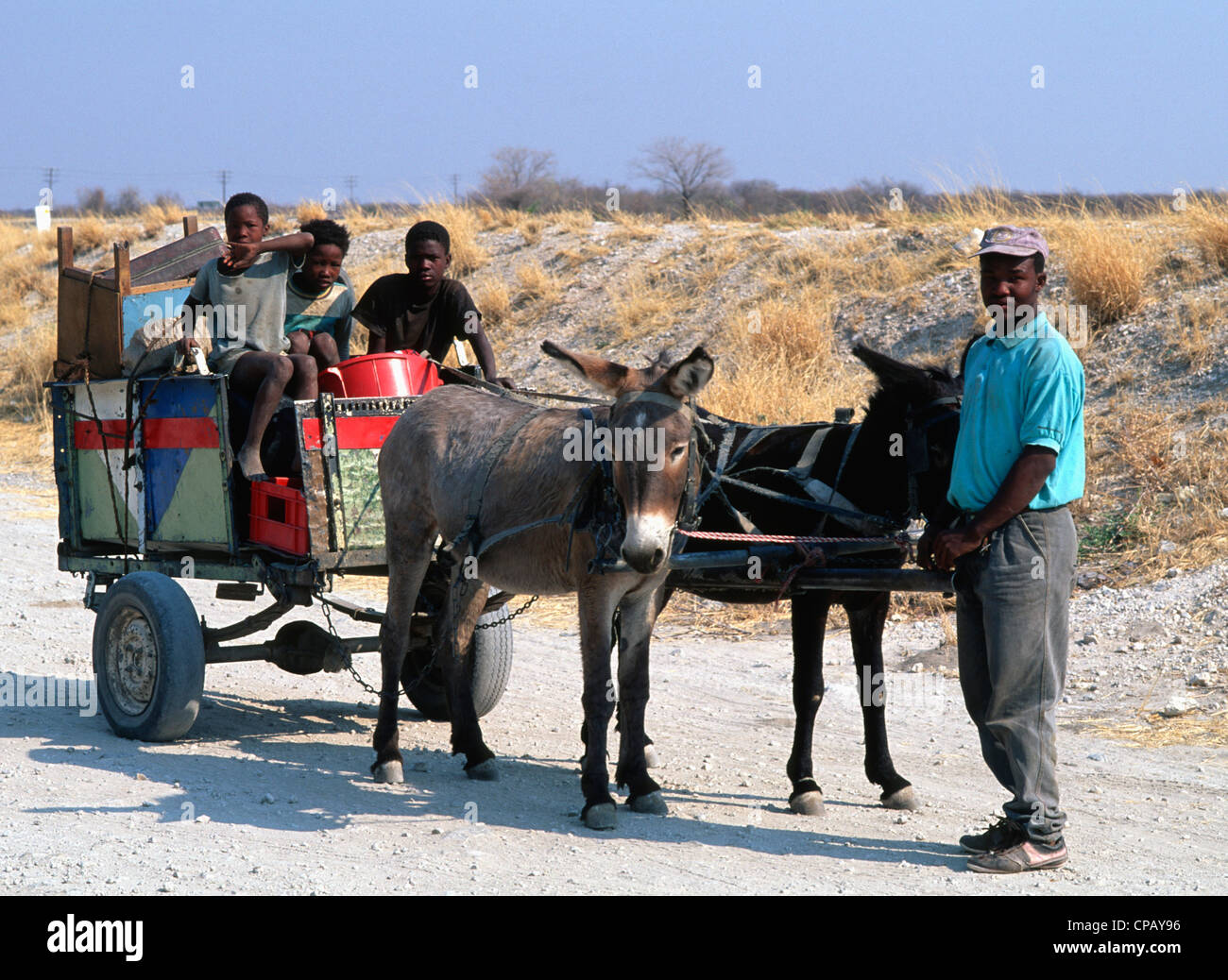 Donkey cart namibia africa hi-res stock photography and images - Alamy