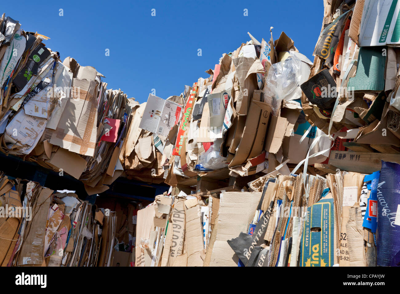 Bromley Waste Paper Collection at Paulette Flores blog