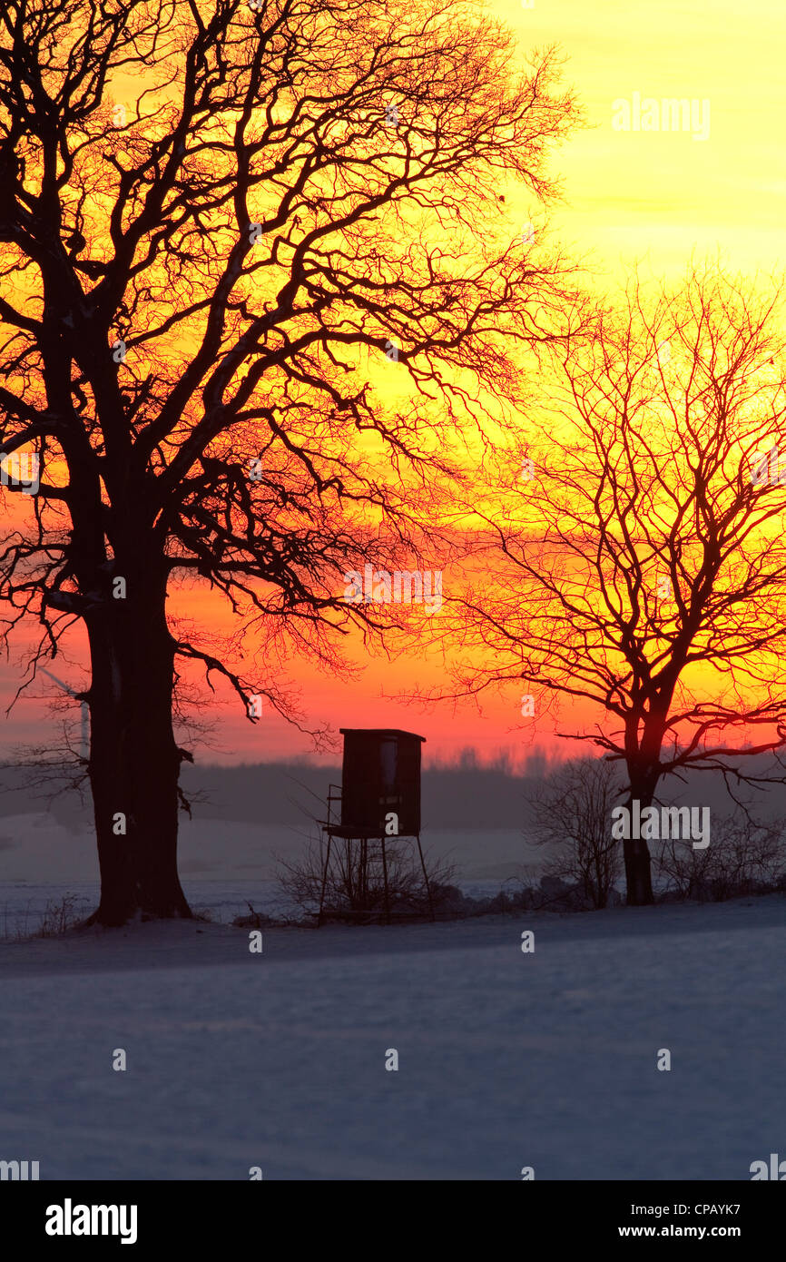 Raised stand for hunting deer in field in the snow in winter ...