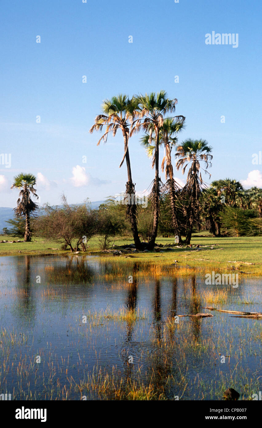 Tanzania, Lake Eyasi, scenery Stock Photo - Alamy