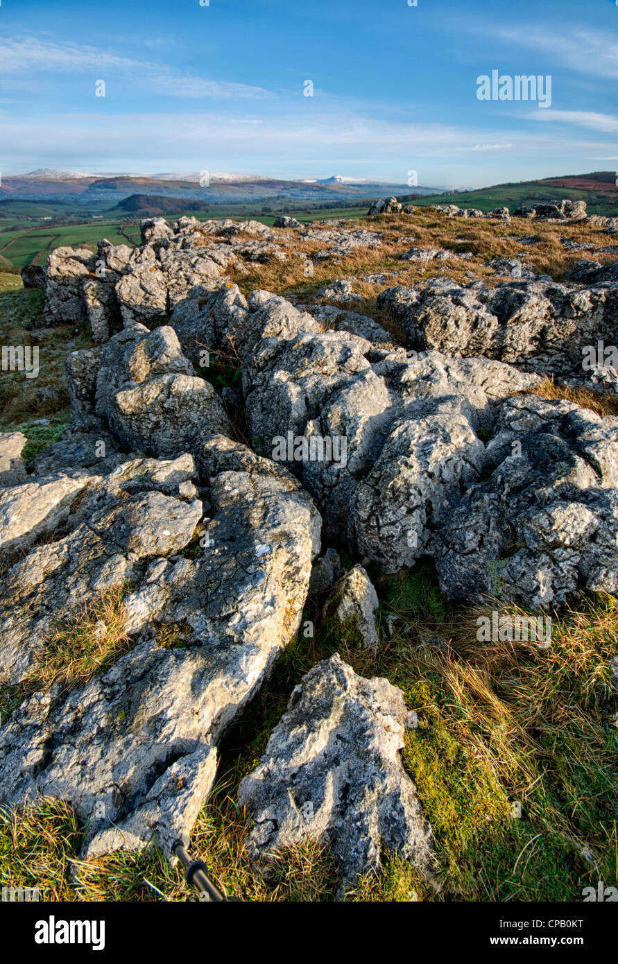 Limestone outcrops at Farletom Knott Cumbria Stock Photo - Alamy