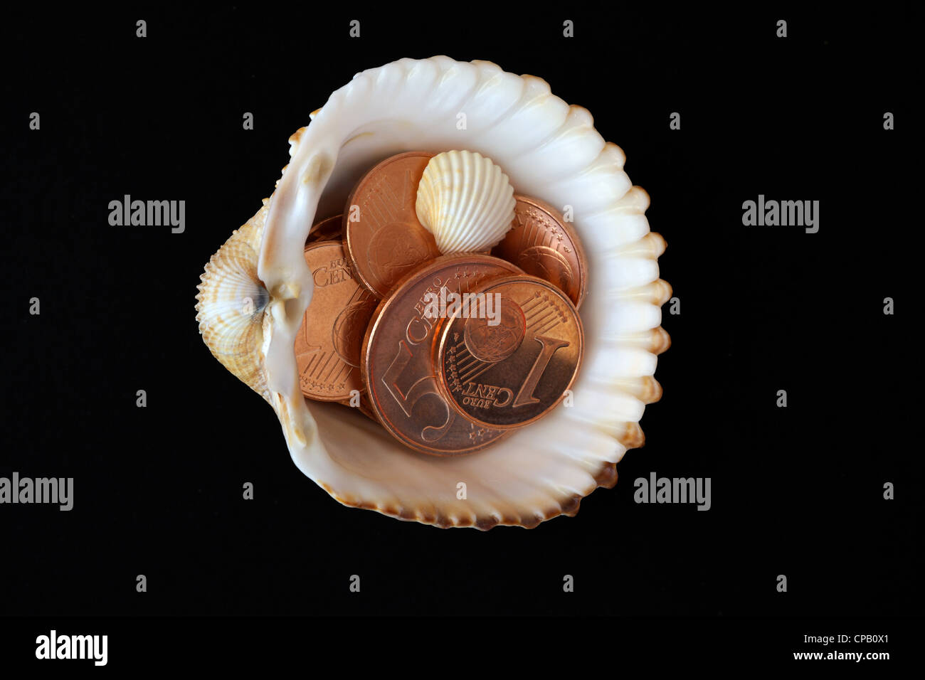 Shell with euro coins on black background Stock Photo - Alamy