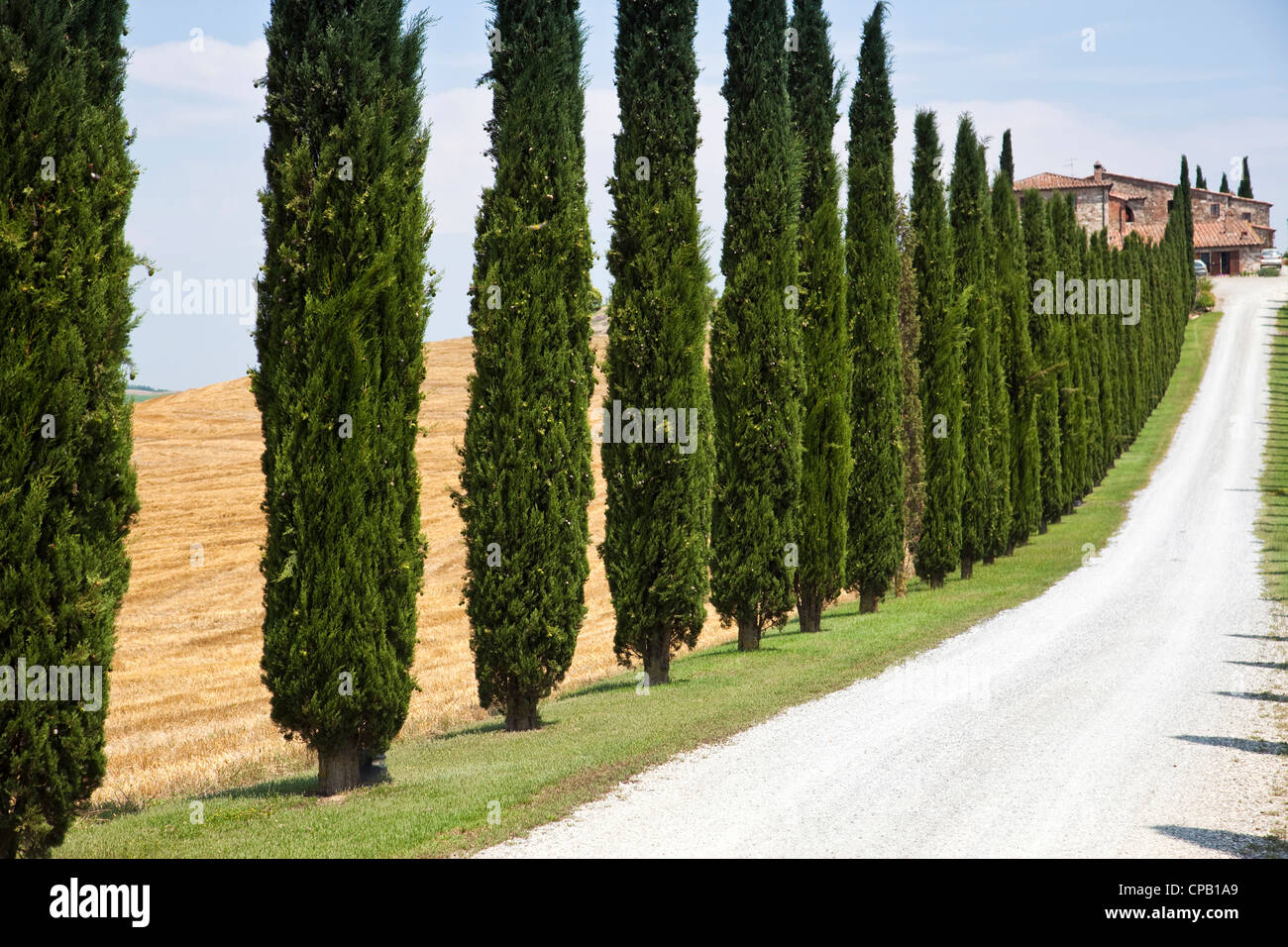 Trees lining rural dirt path Stock Photo - Alamy Trees lining rural dirt path Stock Photo - Alamy