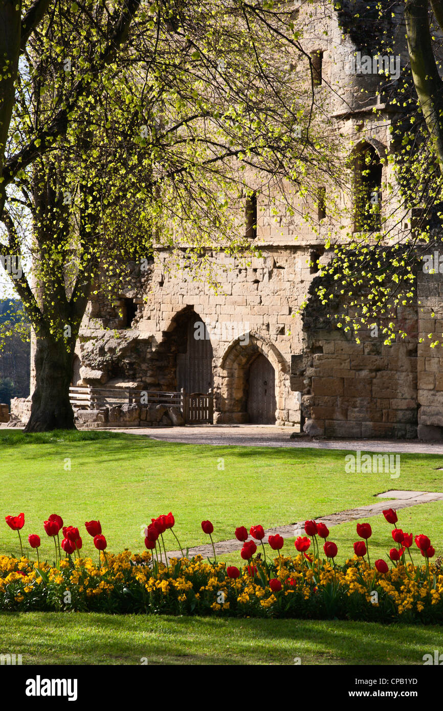 Knaresborough Castle Grounds in Spring Knaresborough North Yorkshire ...