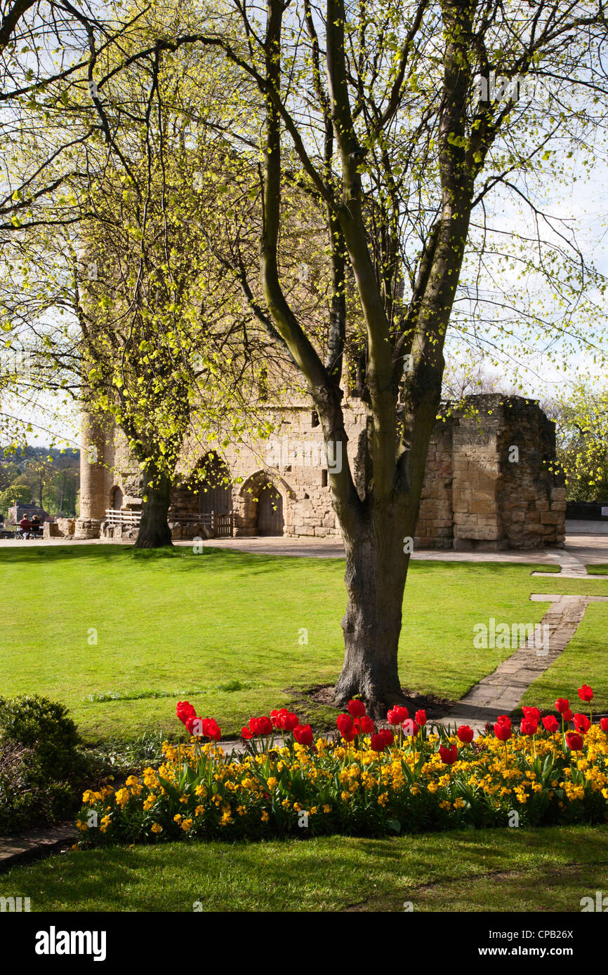 Knaresborough Castle Grounds in Spring Knaresborough North Yorkshire ...