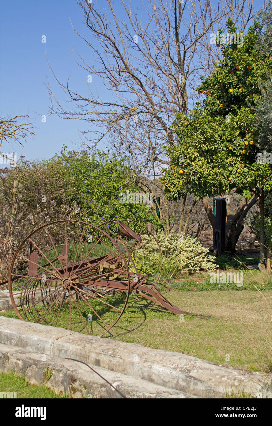 The old agricultural tools in courtyard with orange tree Stock Photo ...