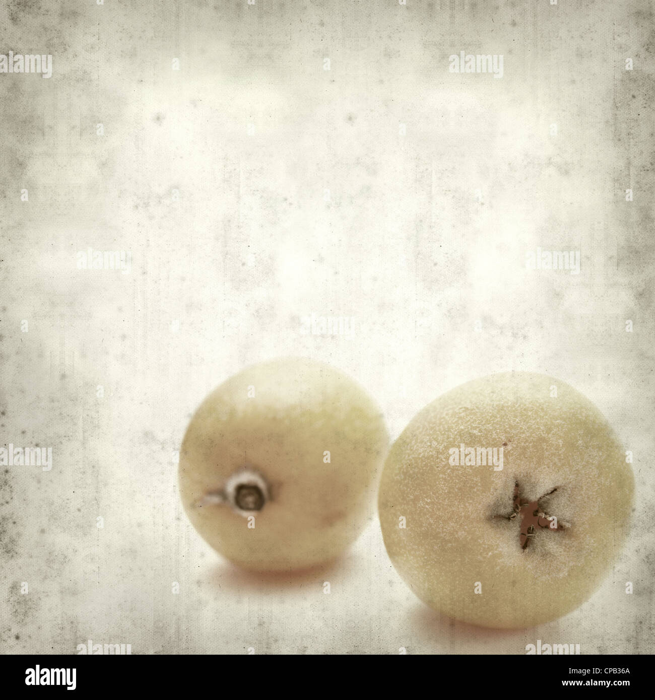 textured old paper background with loquat Stock Photo - Alamy