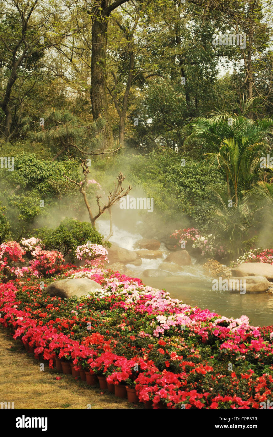 Pink flowers by lake in Suzhou, China Stock Photo - Alamy