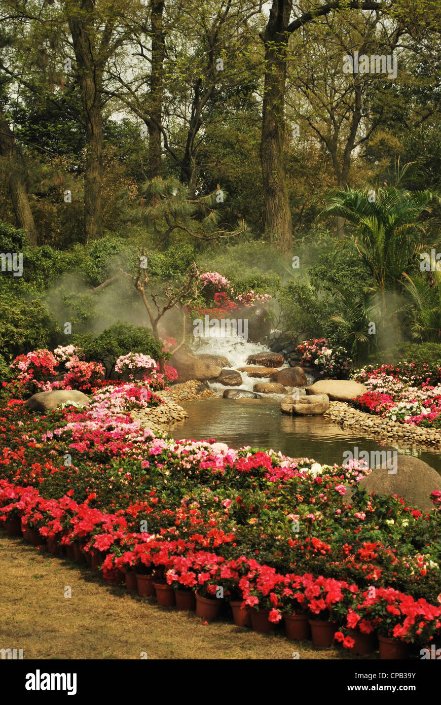 Pink flowers by lake in Suzhou, China Stock Photo - Alamy