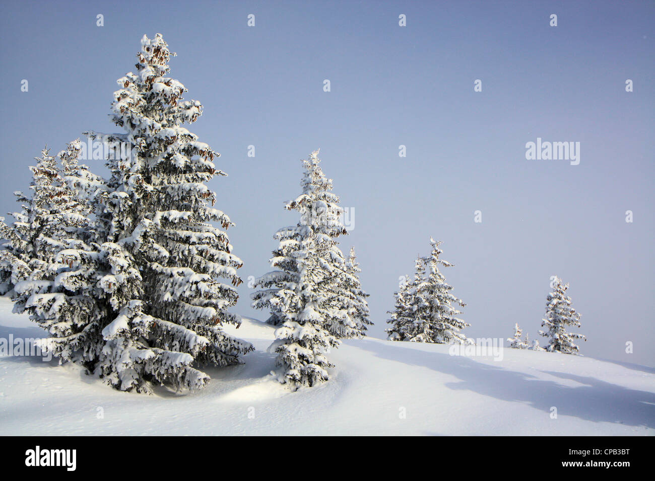 Winter landscape, Alps, France Stock Photo - Alamy